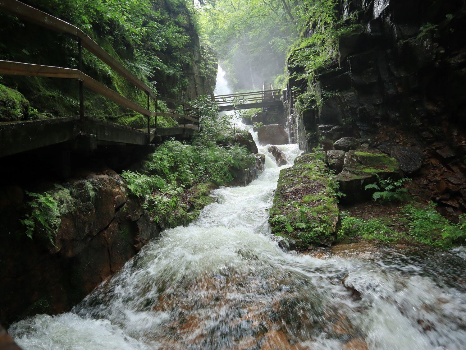 Webcam - Cannon Mountain