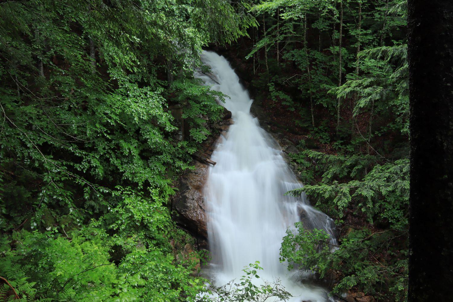 Webcam - Cannon Mountain